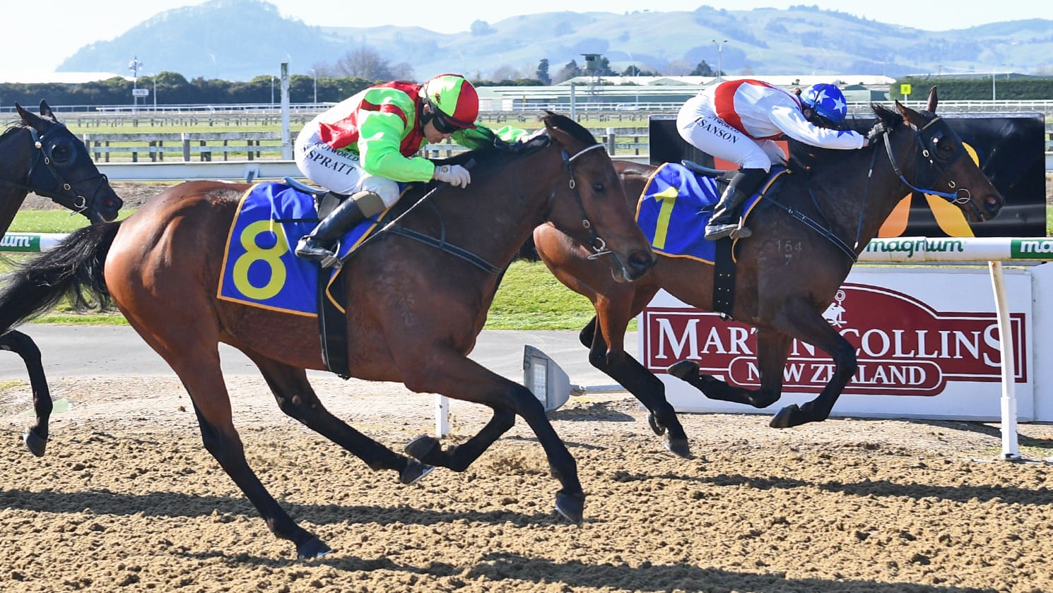 Danica Guy's Monza Grips On To Claim Cambridge Synthetic Success