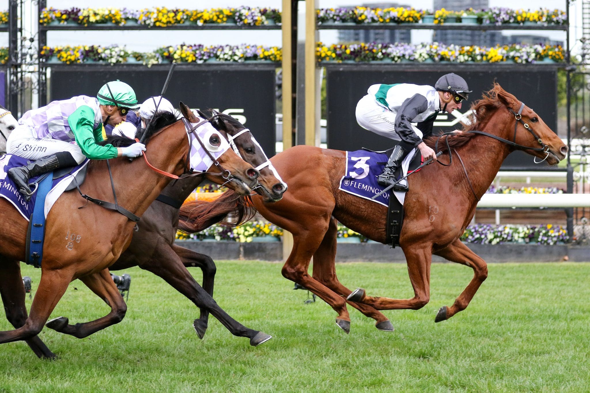 Rise At Dawn Continues To Impress With Flemington Triumph
