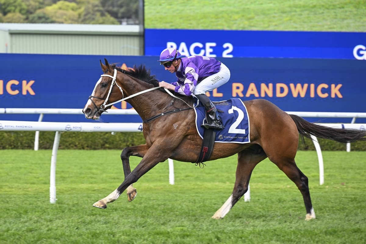 Strathtay Continues Rise Through Grades With Randwick Triumph