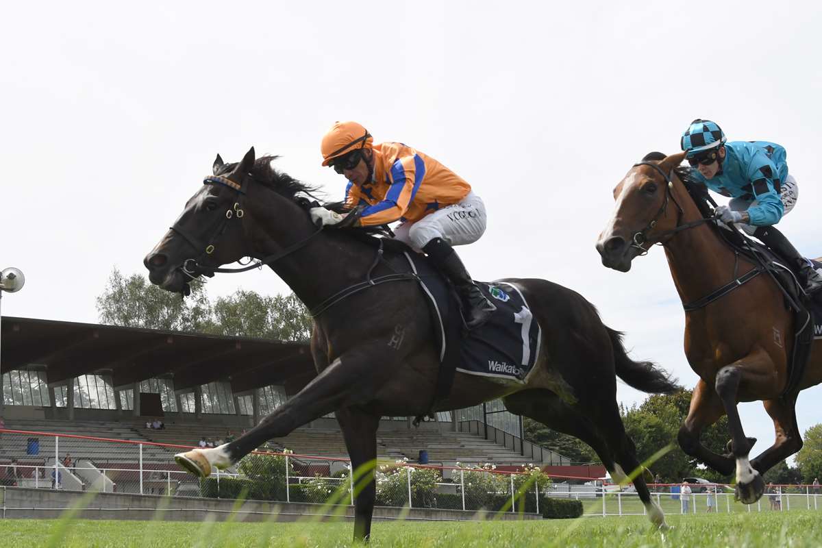 Walker & Bergerson Happy With Unbridled Joy Before Guineas Test