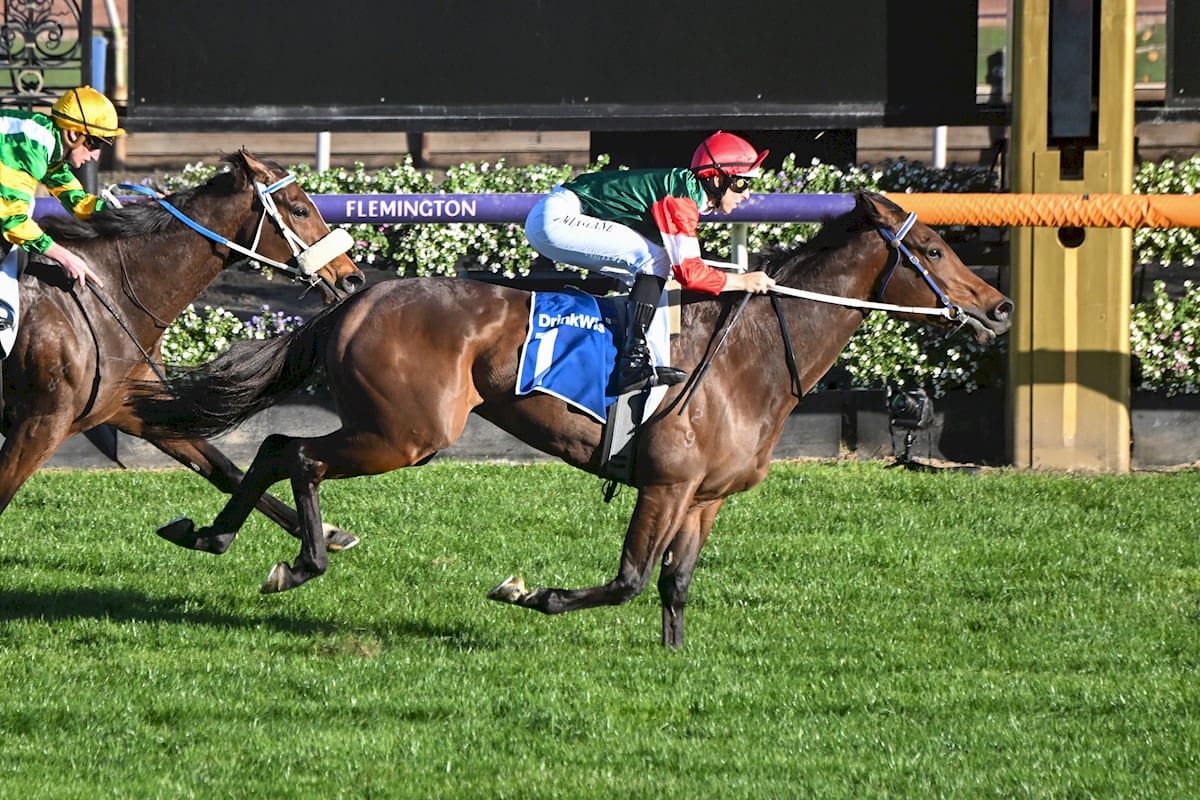 Amelia’s Jewel Set For Group 2 Guy Walter Stakes Return