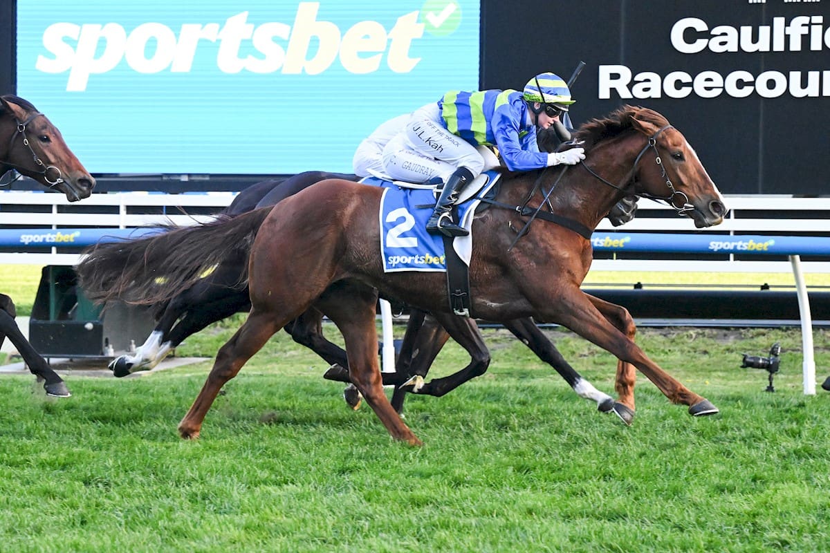 Toorak Handicap: Another Wil Draws Barrier One In 13-Horse Field