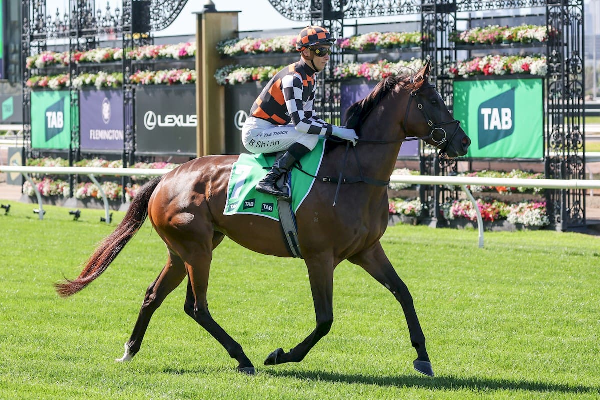 Fawkner Park Prepares for Group 1 Underwood Stakes