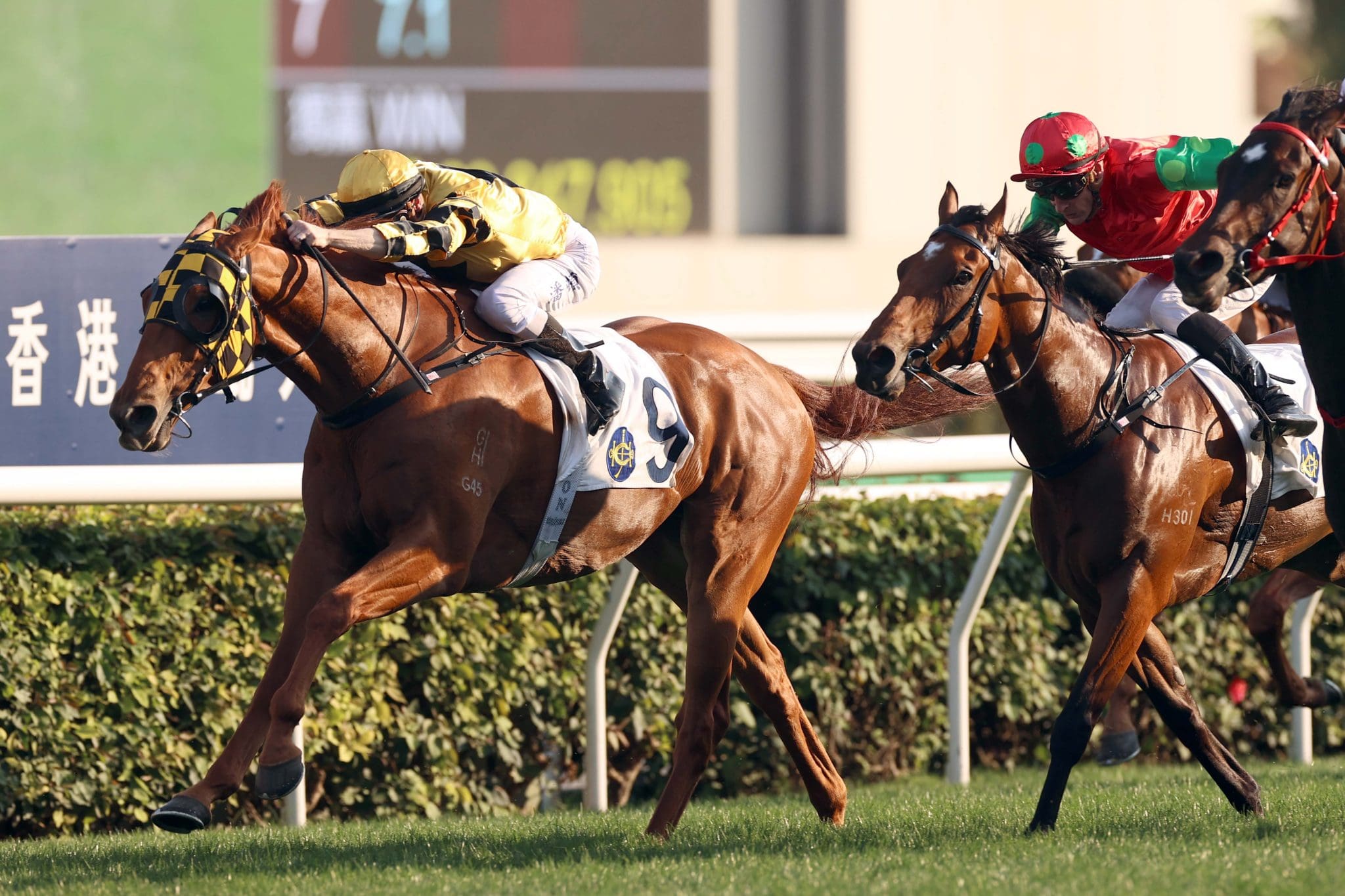 Flying Ace Looking To Kick Off Hong Kong Season On Winning Note