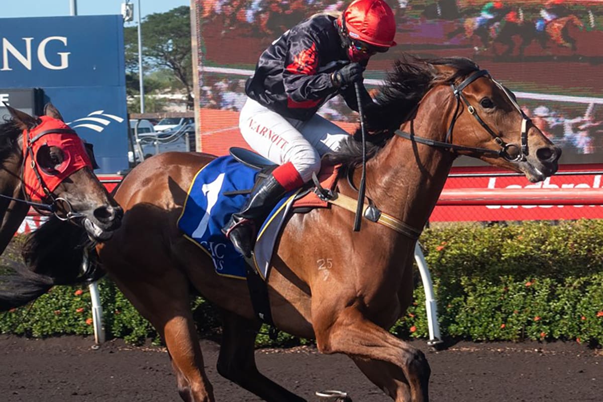 Jason Manning's Bon's Pride Impresses With Fannie Bay Victory