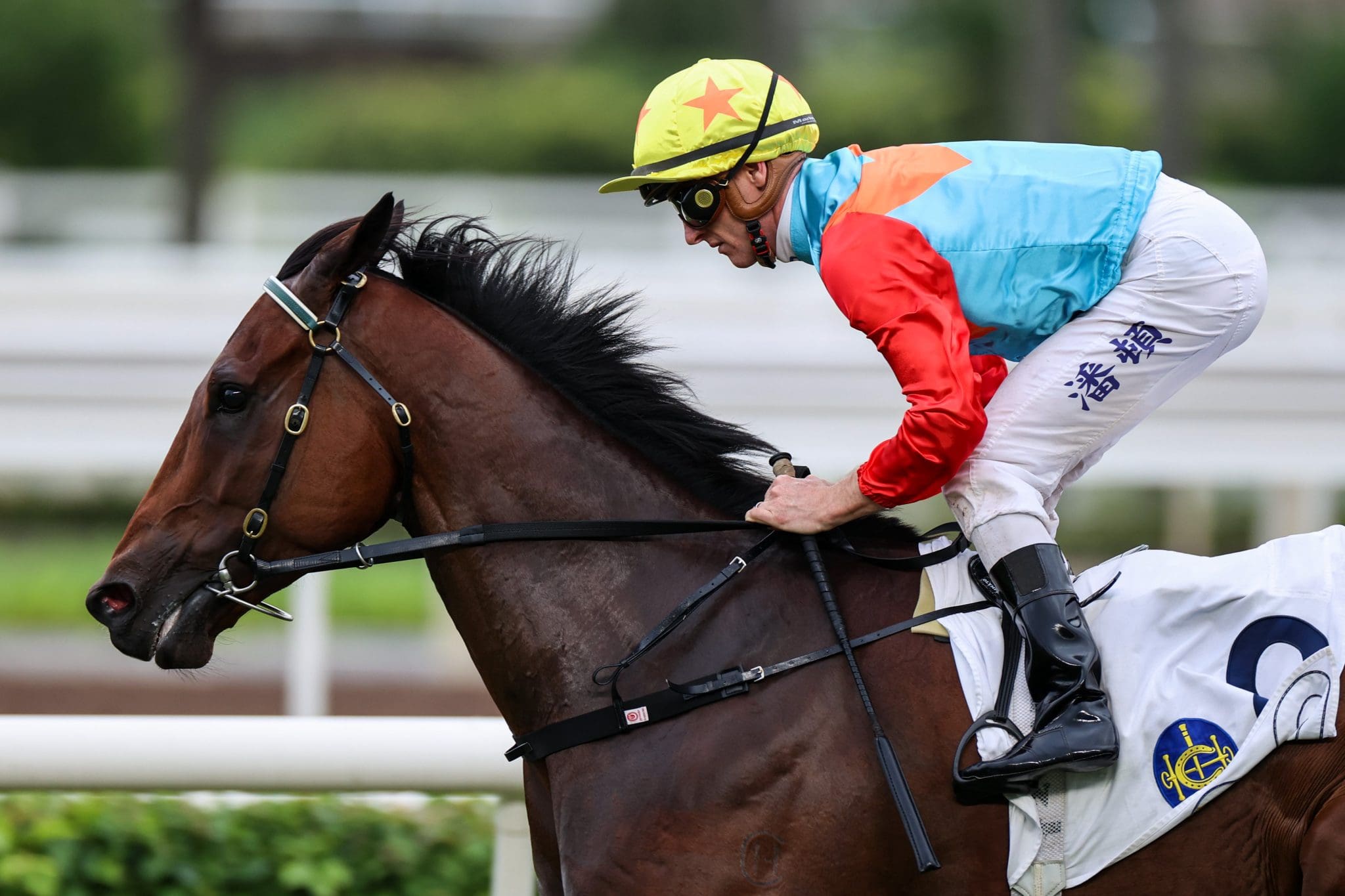 David Hayes Group 1 Dreaming With Sprinter Ka Ying Rising