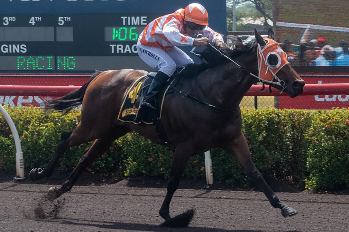 Red Wraith & Garrucha Set For Alice Springs Clash On Sunday