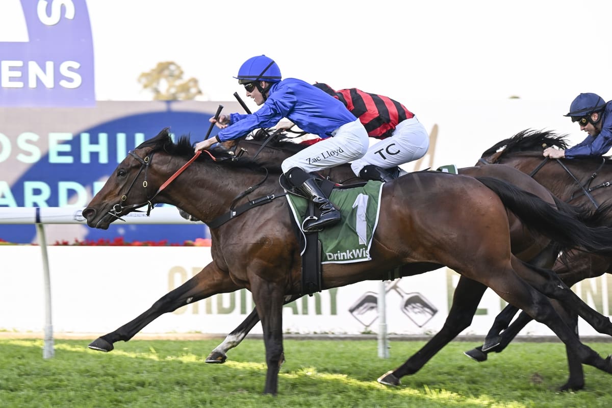 James Cummings Targets Autumn Group 1 Glory With Traffic Warden