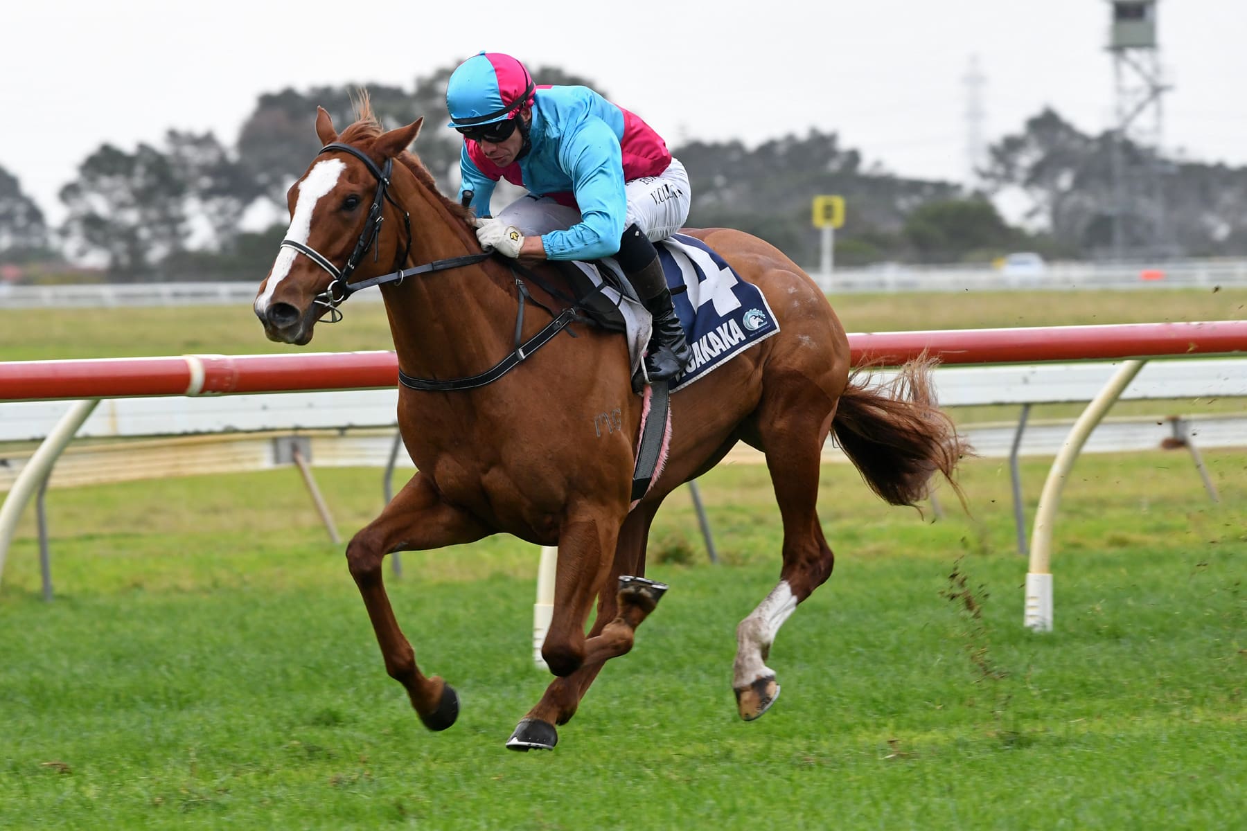 Surgenor Chasing Hawke's Bay Carnival Success With Talented Pair