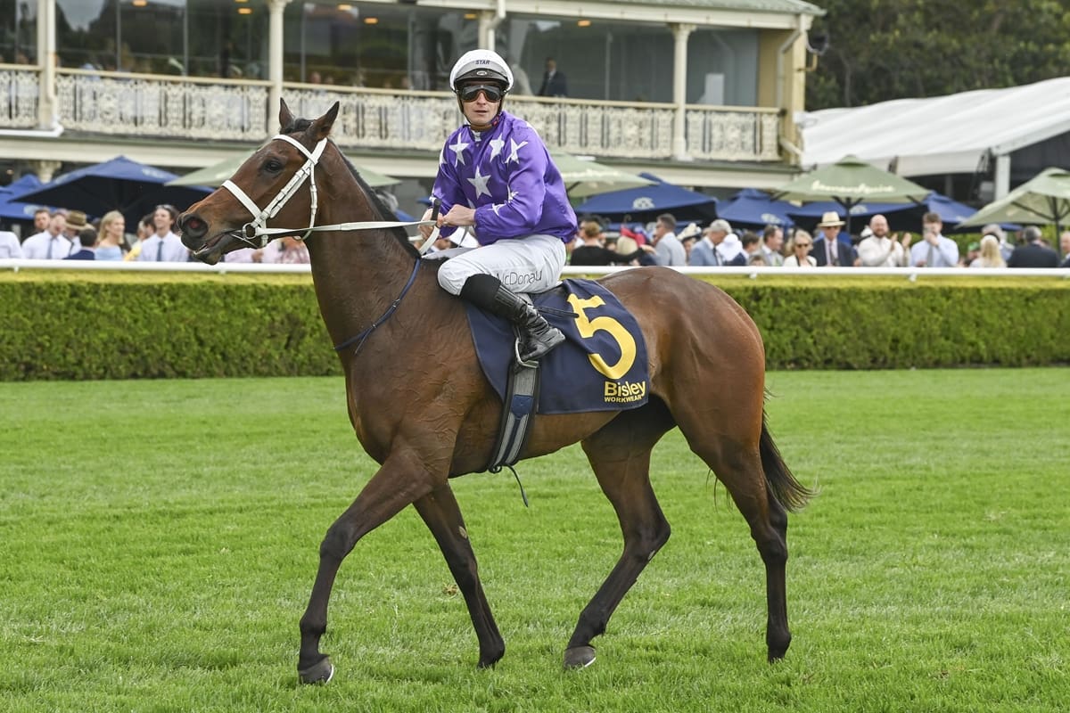 Aeliana Surges Late To Claim Group 3 Reginald Allen Quality