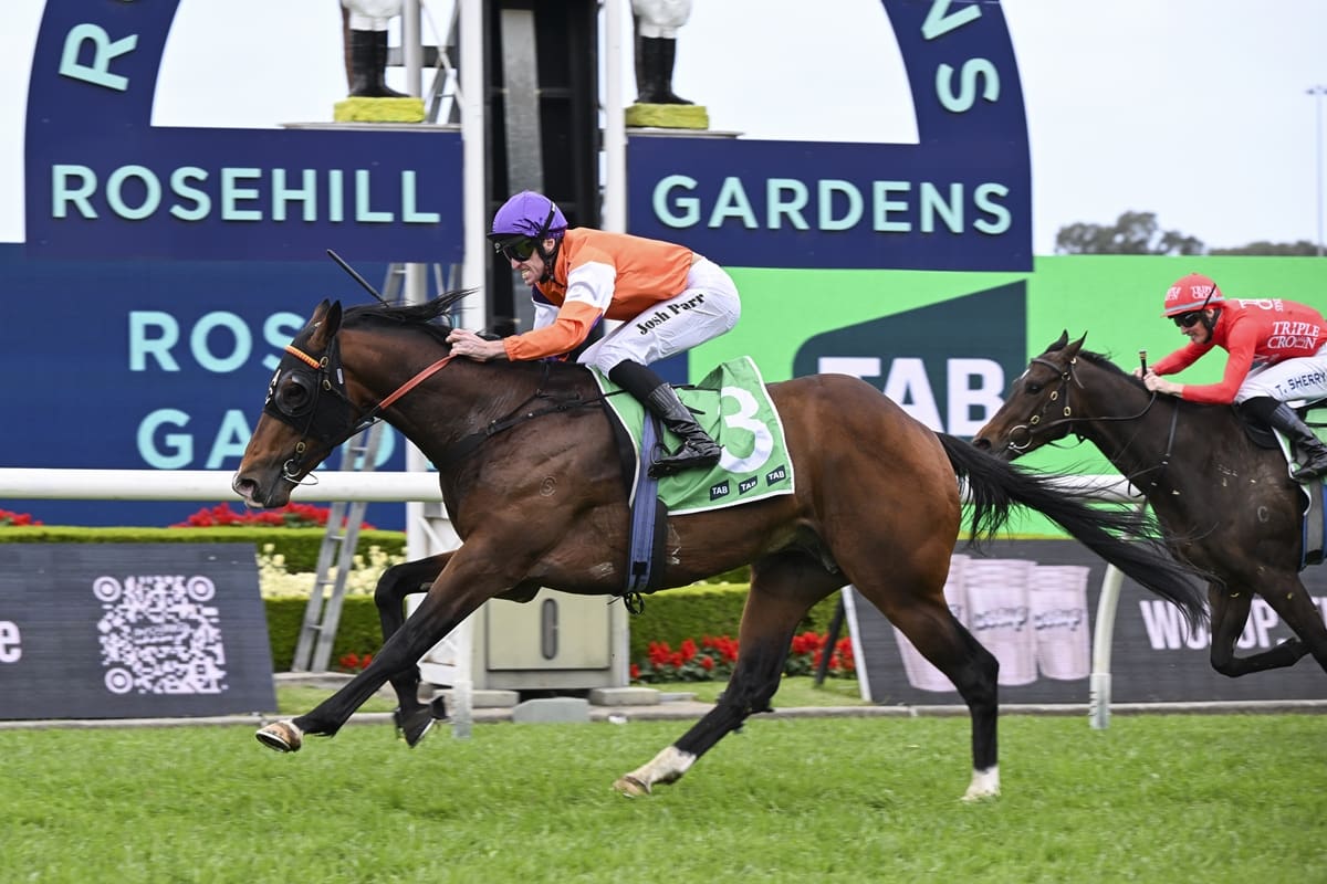 Everest Carnival Rolls On As All Eyes Turn To The Valley