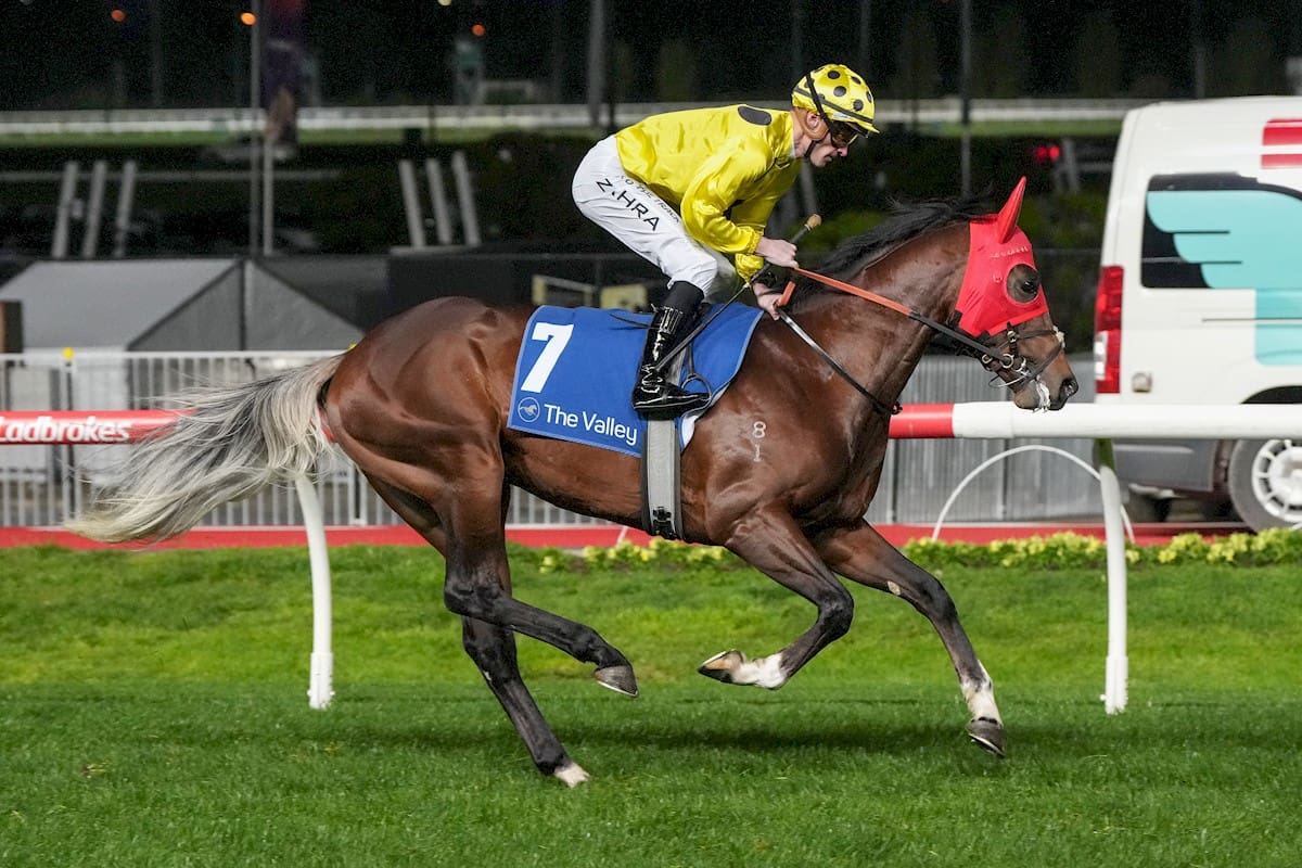 Henlein Aims For Group 1 Breakthrough In Spring Champion Stakes