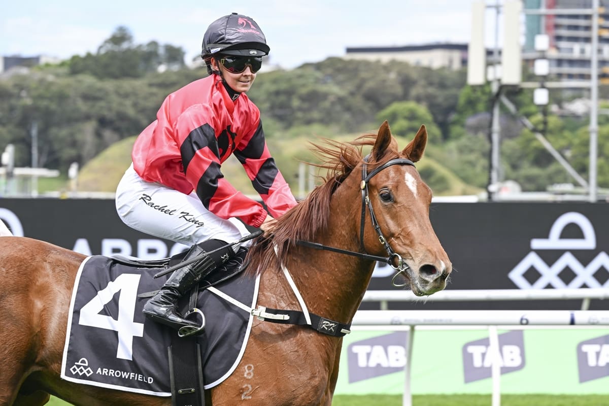 Golden Slipper Favourite Dead After Freak Drowning Incident
