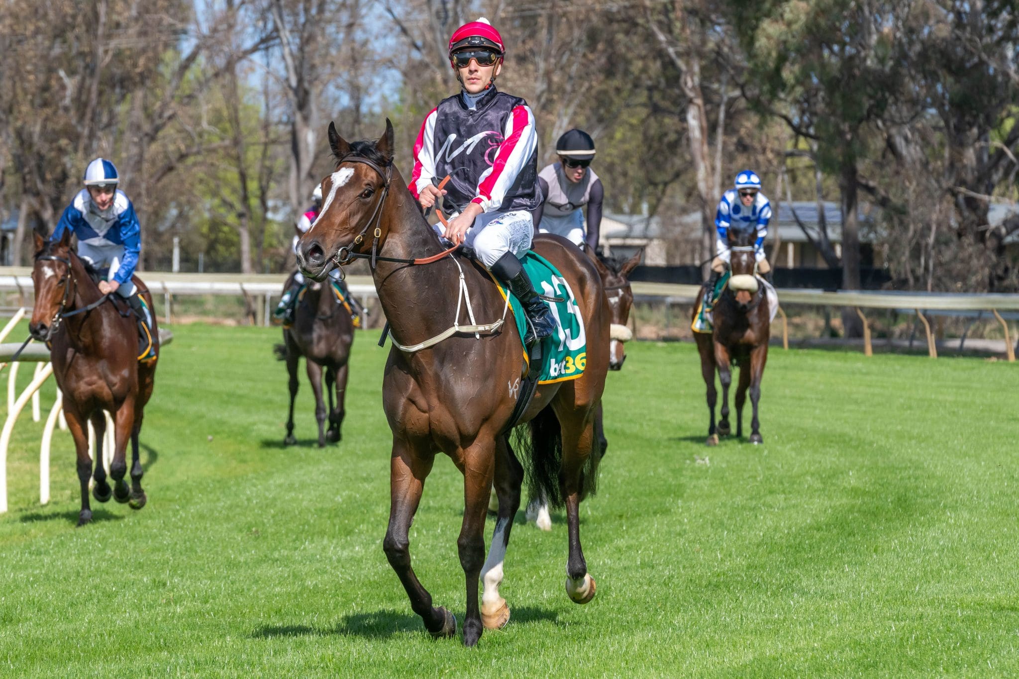 Liam Riordan Set To Ride At Ashburton For Te Akau Racing