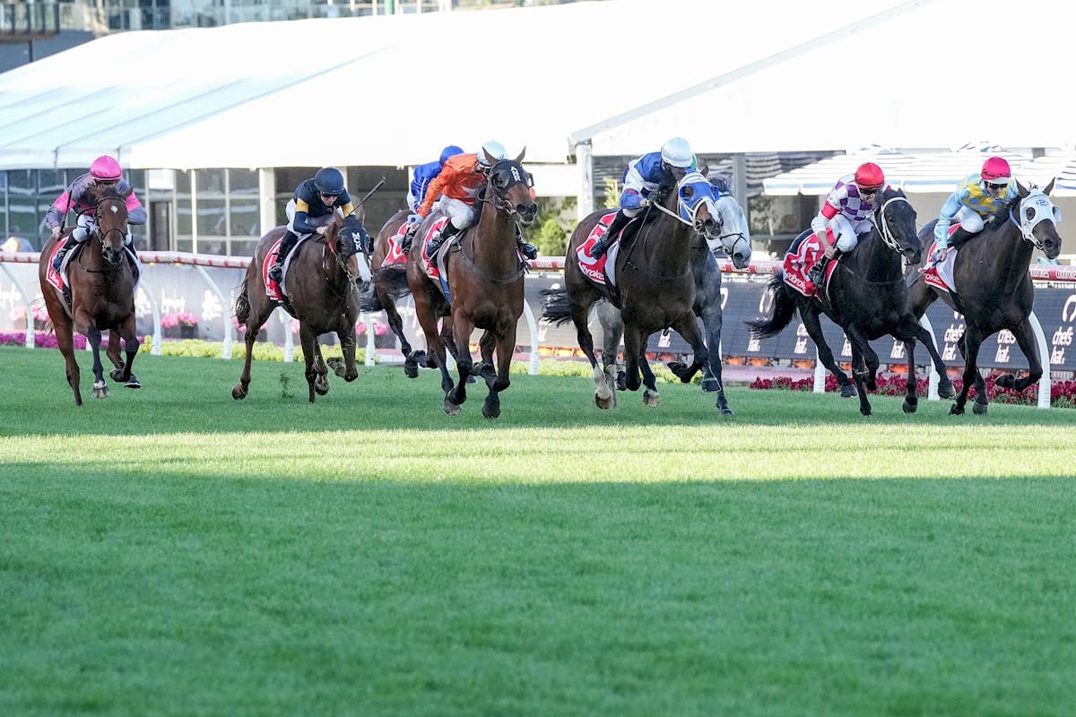 Moonee Valley Gold Cup Night Race Replays & Results | 25/10/24