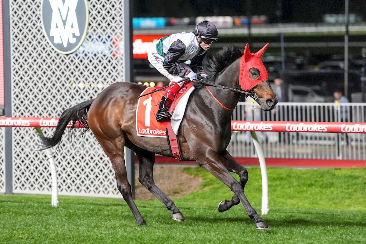 Mr Brightside Odds-On Favourite For Might And Power Stakes