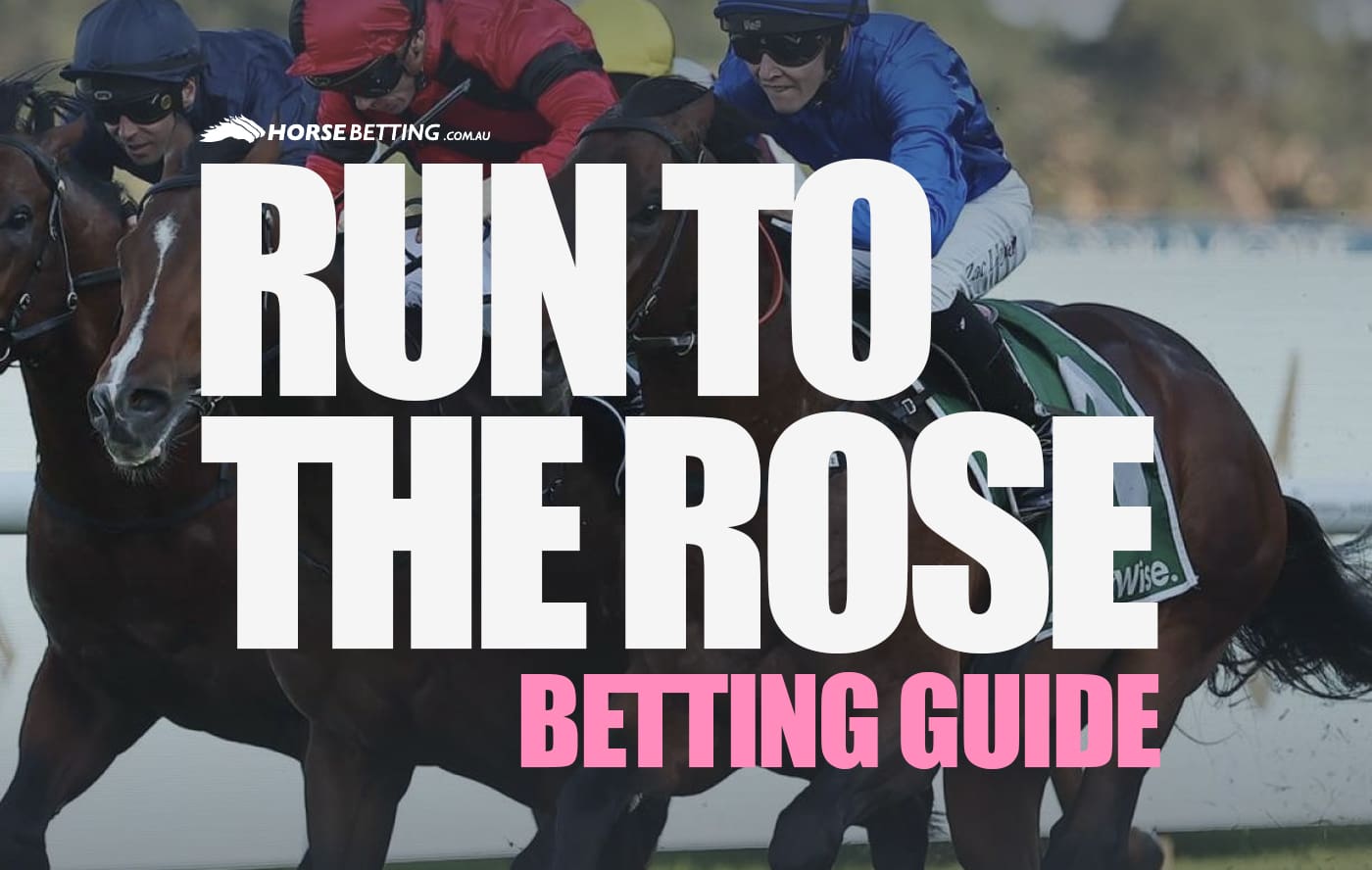 Run To The Rose Betting 2025 | Odds | Tips | Field | News