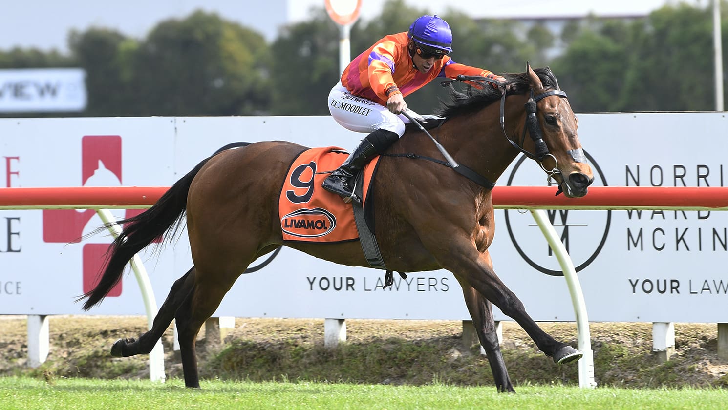 Spencer Takes Out Group 3 Spring Sprint At Te Rapa