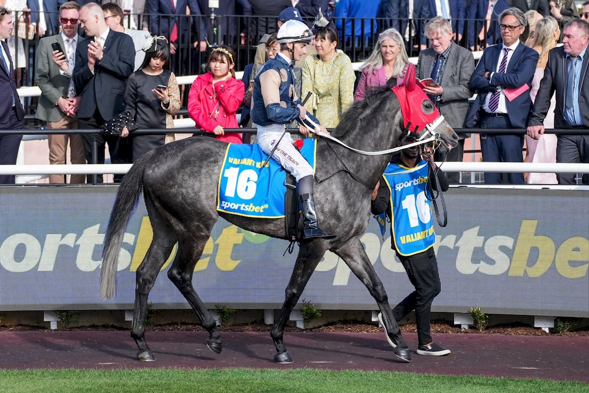 Can Valiant King Win The 2024 Melbourne Cup? | Recent Form | Odds
