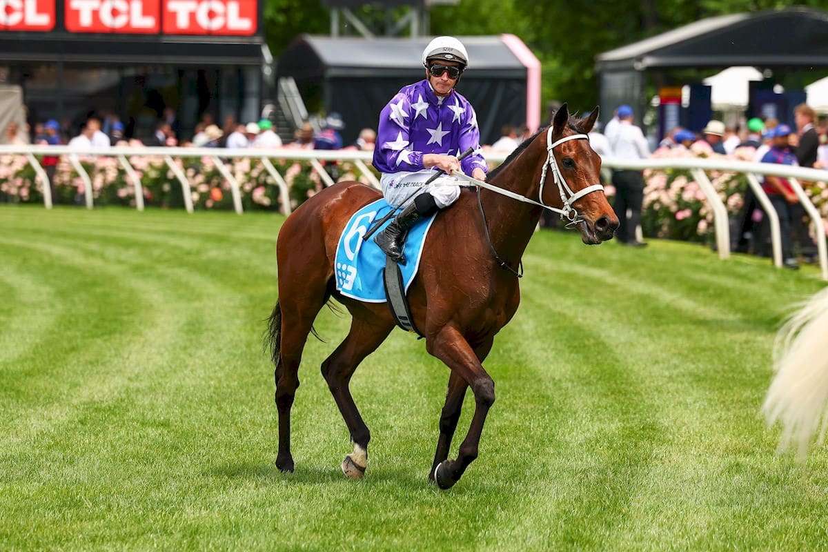 Aeliana Set To Challenge The Boys In Group 1 Randwick Guineas