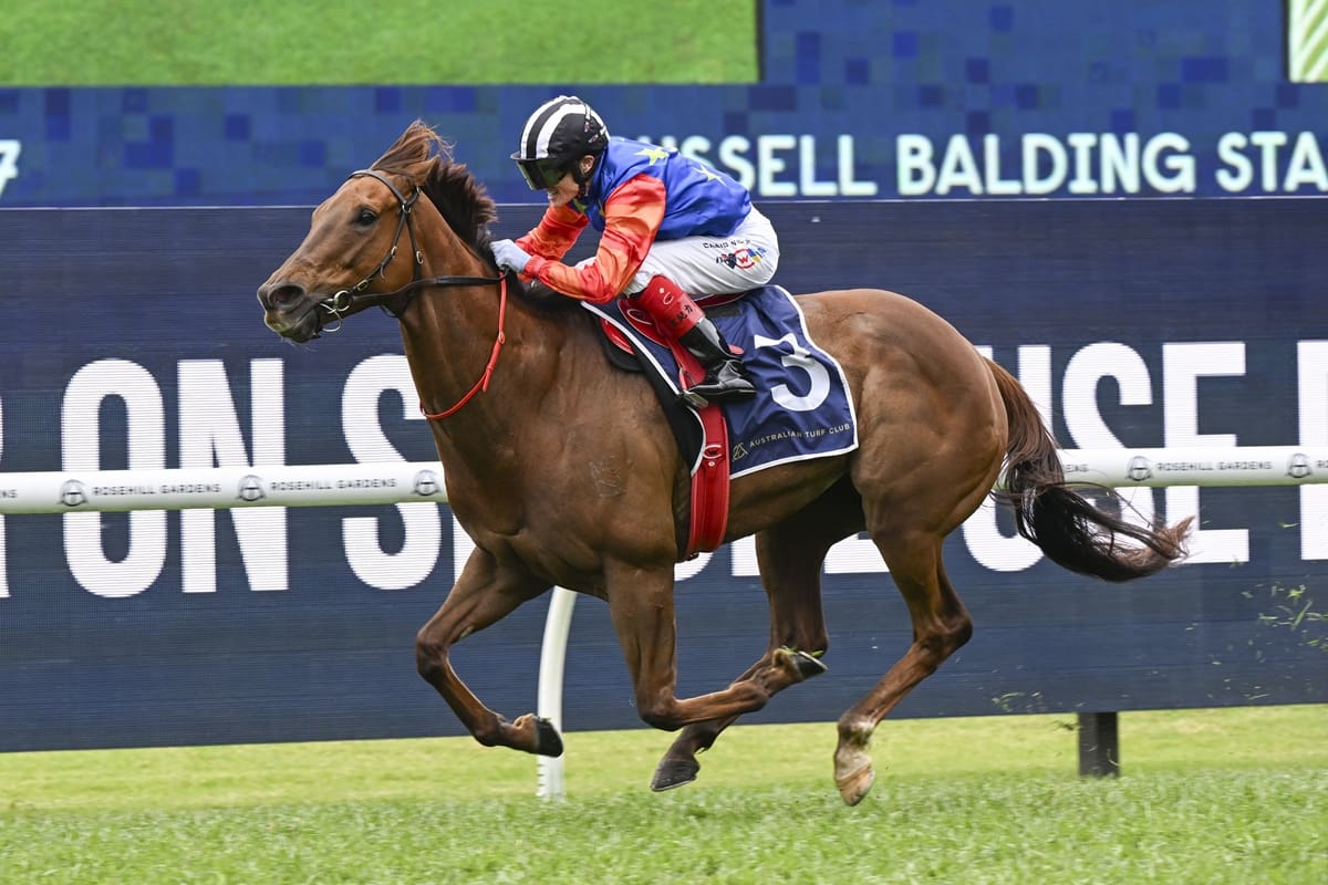 Bella Nipotina retired - BOAY Racing News - Bit Of A Yarn