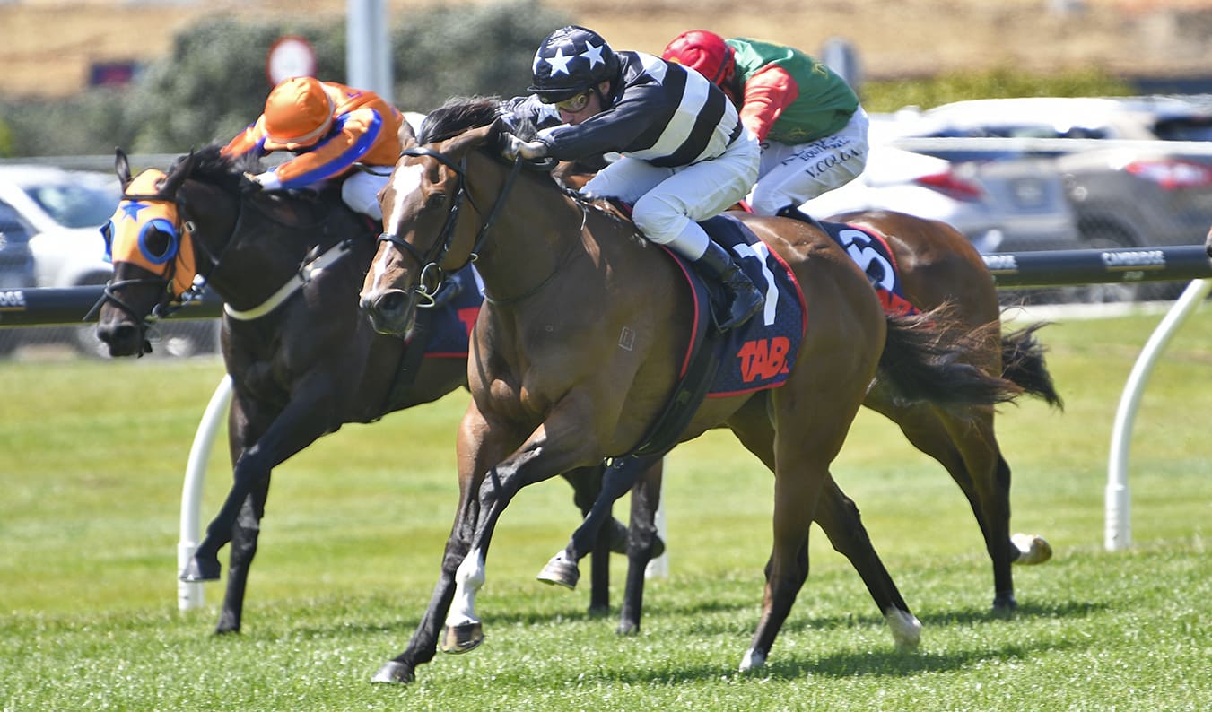 Connections Confident Costae Can Capitalise On Rare Group 1 Path