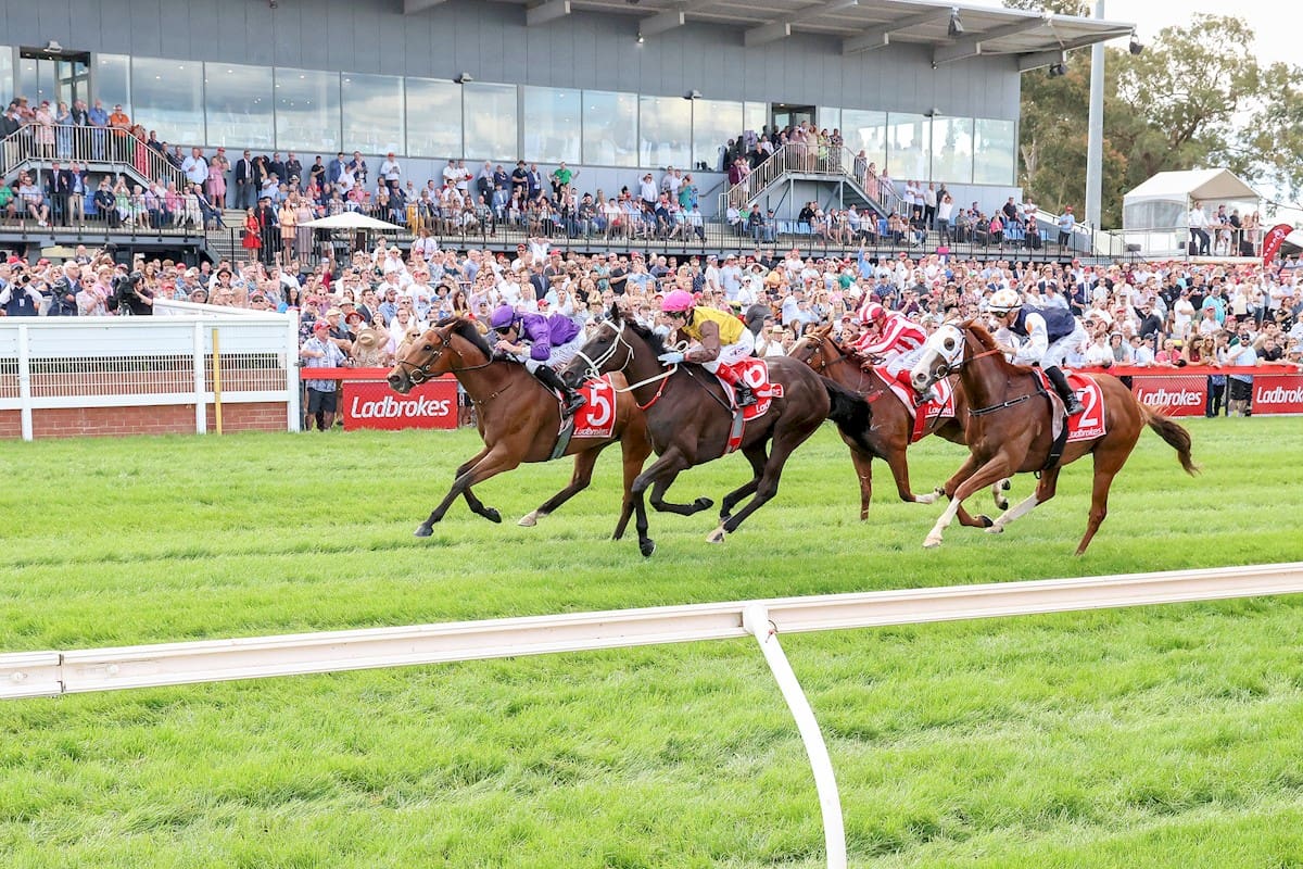 Cranbourne Free Race Replays, Results & Dividends | November 23