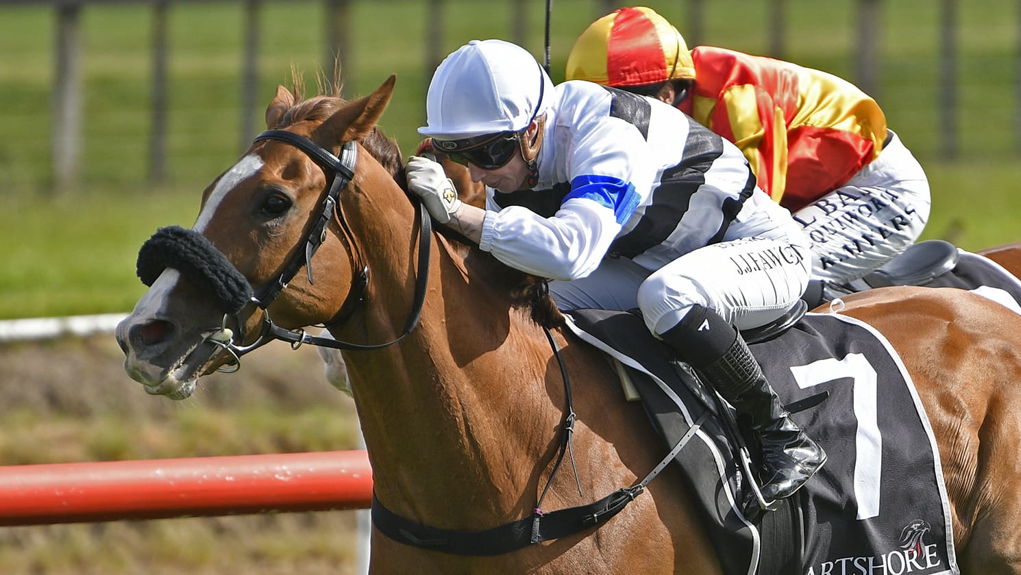 Fly My Wey Bursts Through Late To Claim Victory At Tauranga