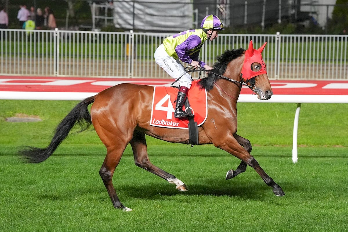 Stuart Gandy Chasing Group 1 Triumph With Geegees Mistruth