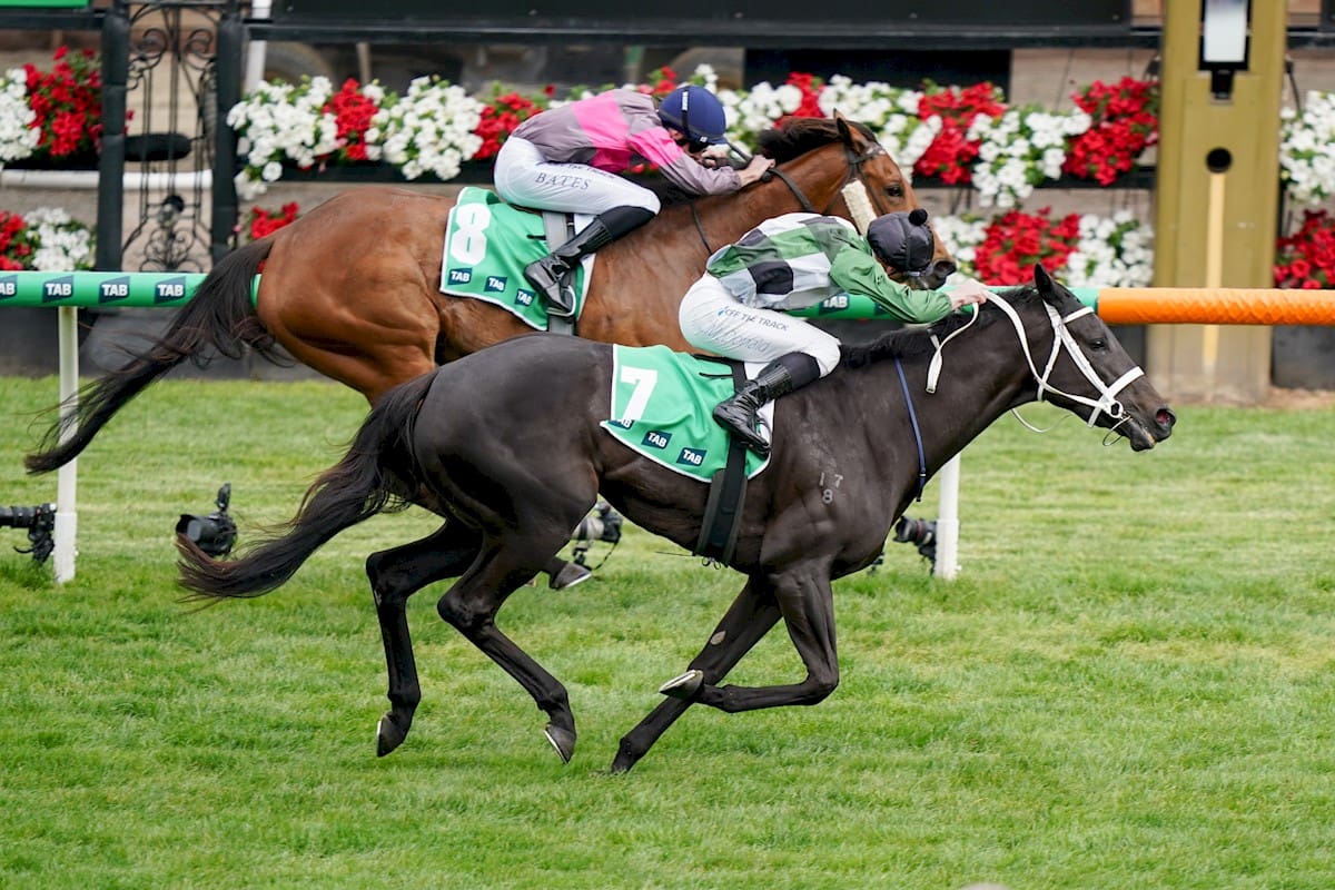 Hinged Flashes Home To Claim Group 2 Matriarch Stakes