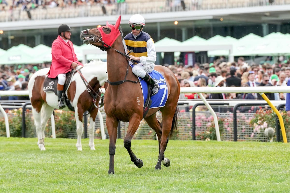 Lady Laguna To Miss The Gold Rush After Winterbottom Result