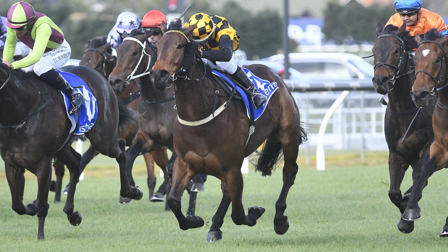 Luberon Heads Lance Noble's Chances At Pukekohe On Saturday