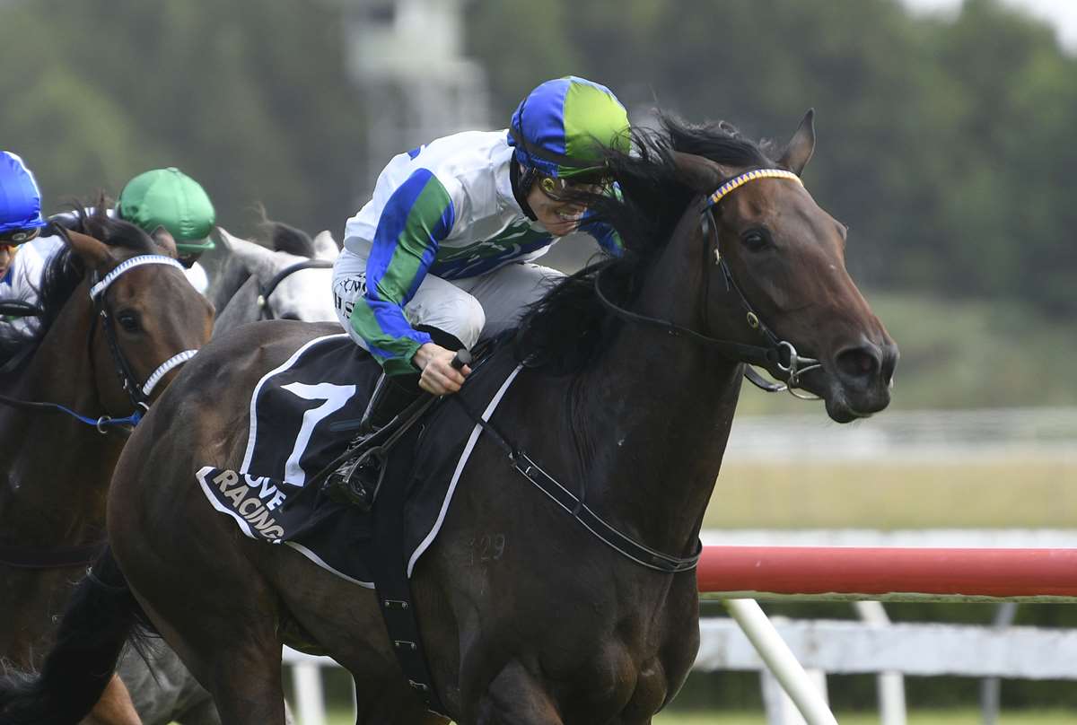 Smart Love Claims Maiden Victory In Third Career Start