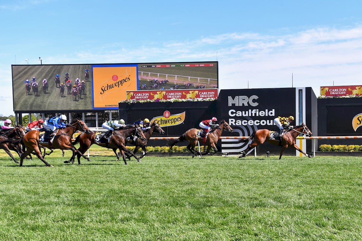 Thousand Guineas Day Free Race Replays & Results | 16/11/2024