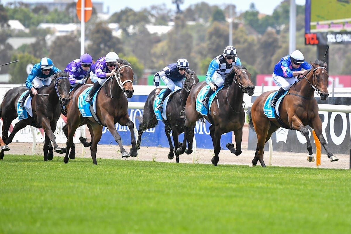 VRC Derby Day Free Race Replays & Results | November 2, 2024