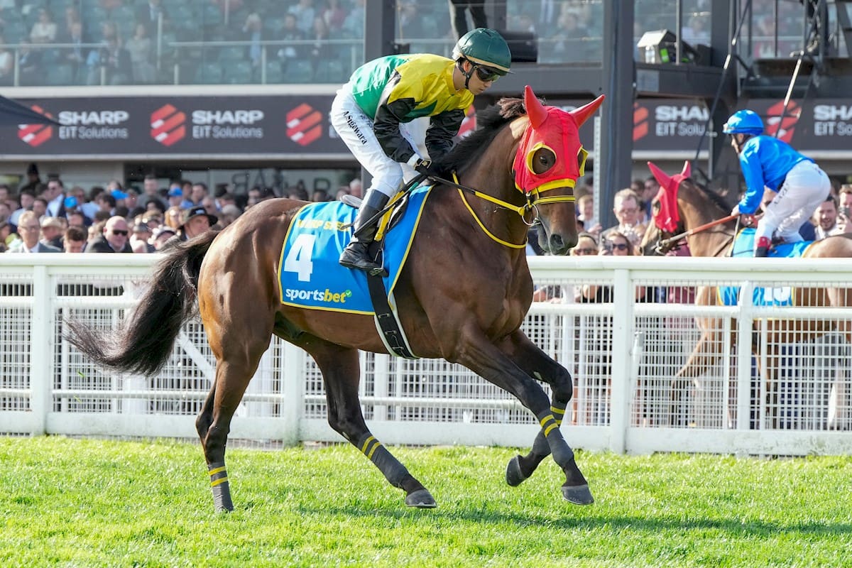Can Warp Speed Win The 2024 Group 1 Melbourne Cup? | Form | Odds
