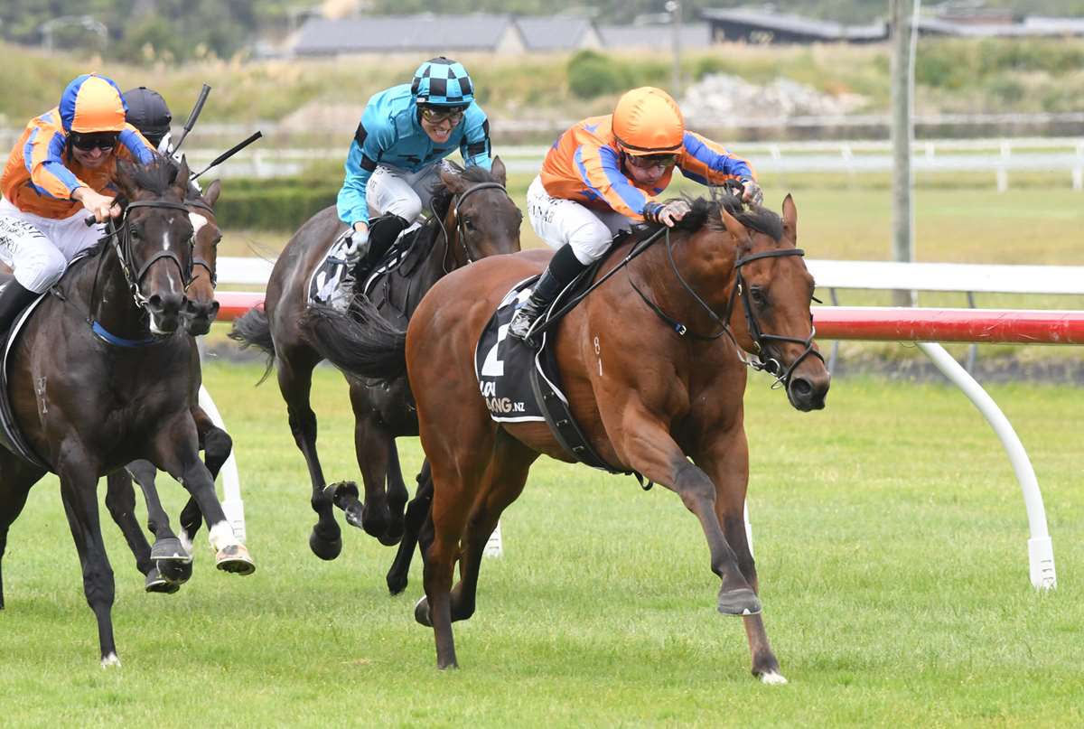 When Stars Align Primed For Group 1 New Zealand 2000 Guineas