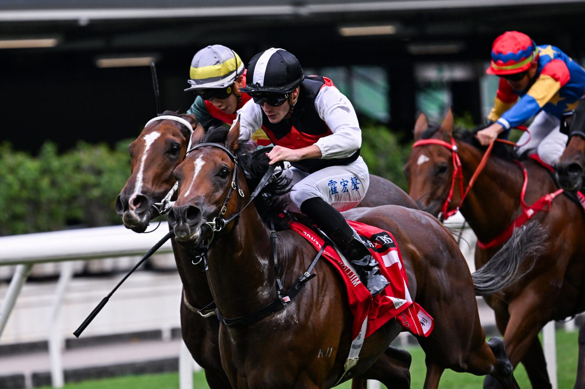 Young Emperor, Romantic Son Set To Clash Again At Happy Valley