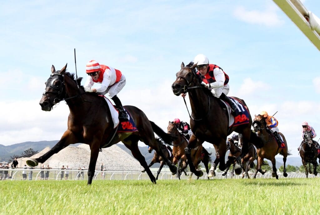 Ladies Man surges to Group 1 glory at Trentham – BOAY Racing News
