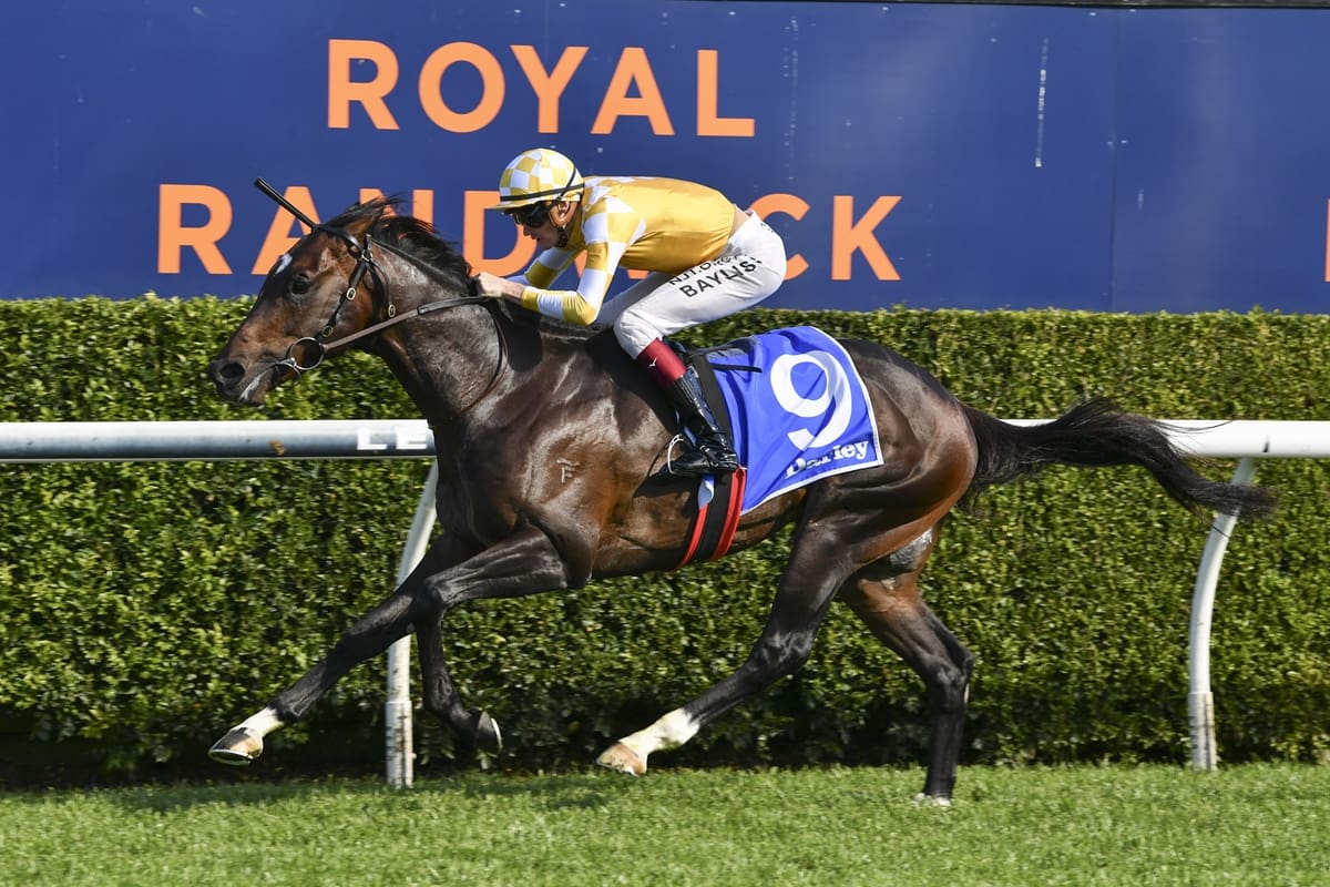 Port Lockroy Aims For Lucrative Success In The Ingham At Randwick