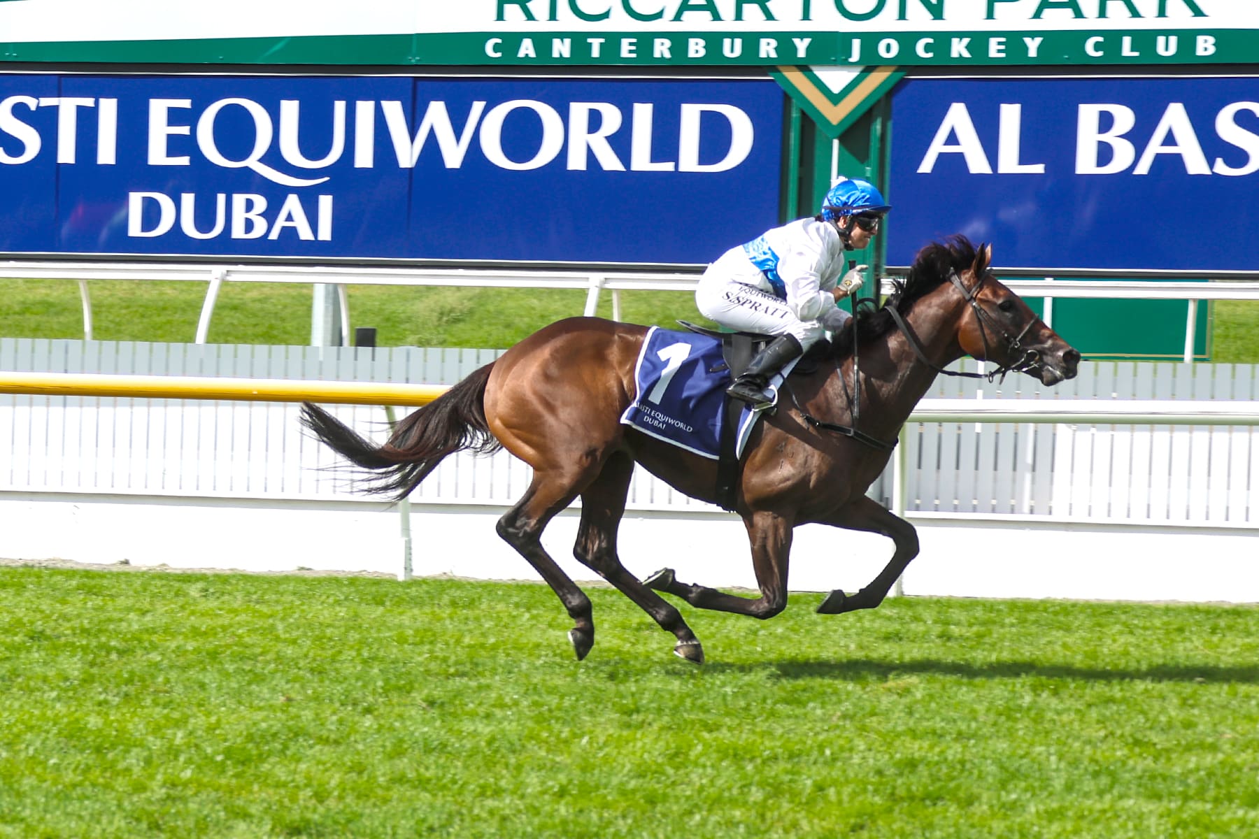 Savaglee primed for Group 1 BCD Group Sprint test - BOAY Racing News ...