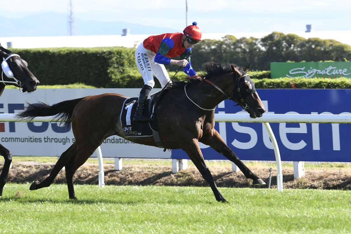 Sharp 'N' Smart Set For Group 1 Tune-Up At Trentham