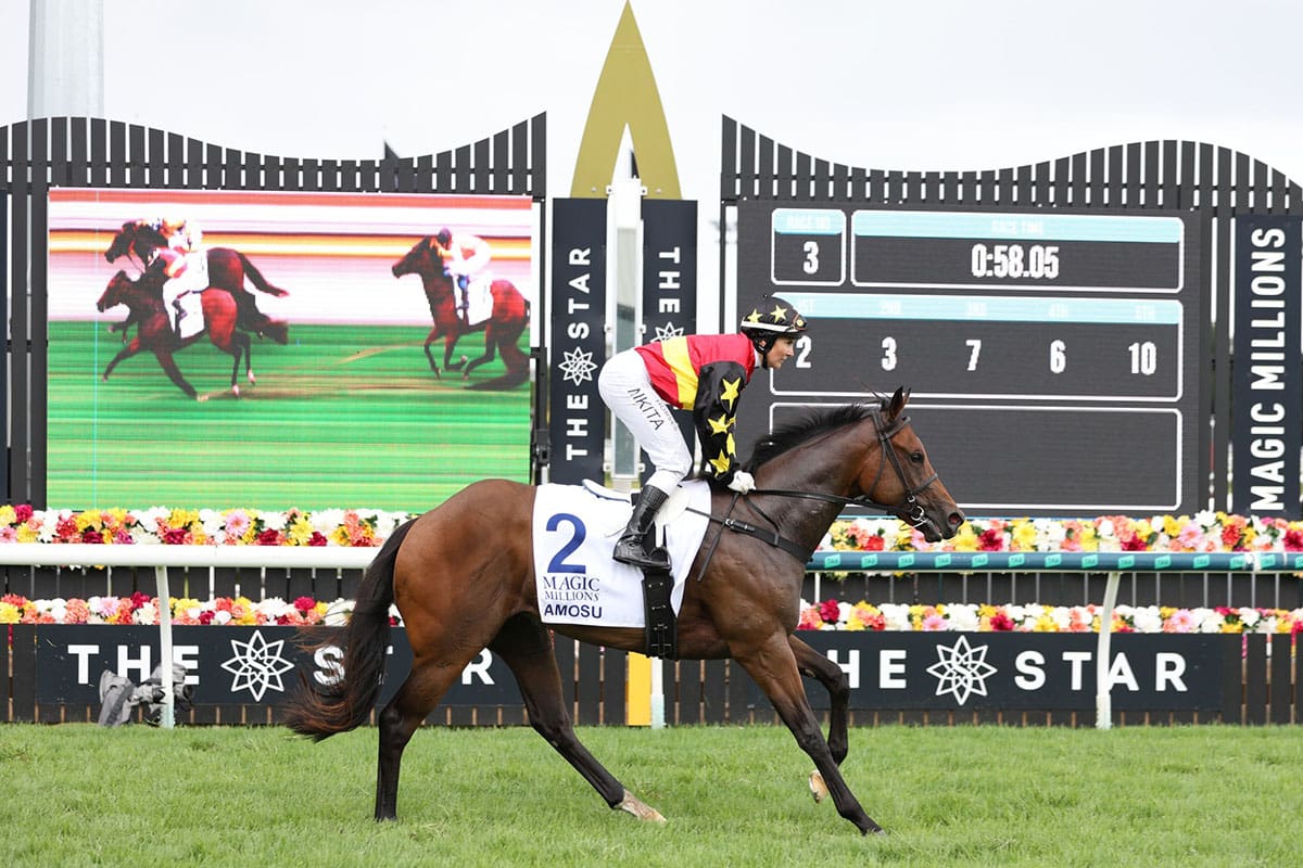 Amosu Claims Valuable Victory In Magic Millions The Debut