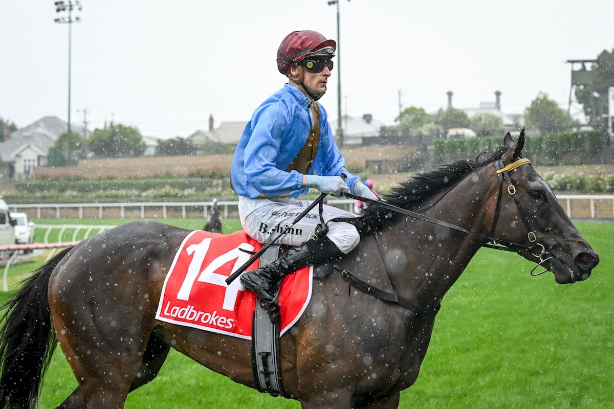 Apache Song Aims For Group 2 Glory In Australia Stakes