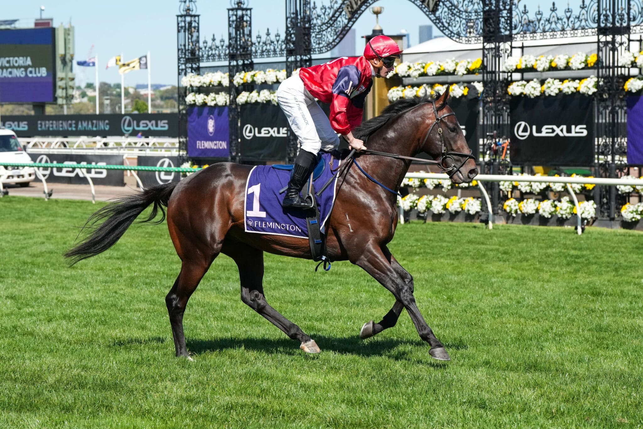 Bosustow & Numerian To Go After New Zealand Group 1 Glory