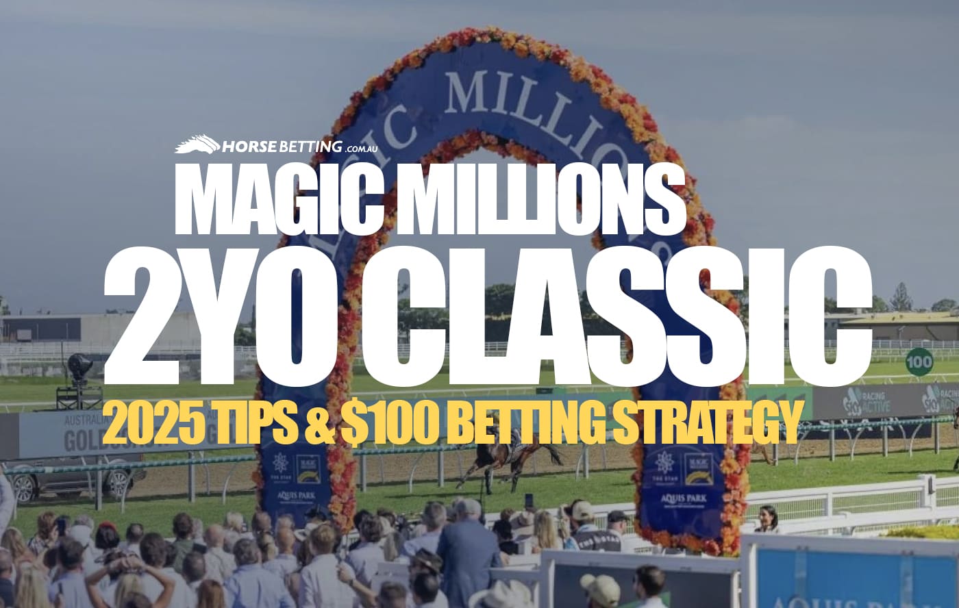 Magic Millions 2YO Classic 2025 Betting Preview & Strategy | 17/1