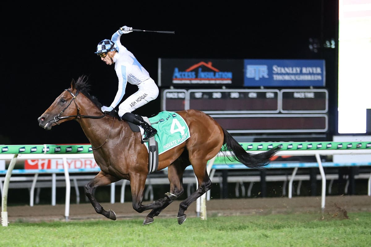Private Harry Set For Group 1 Debut In The Galaxy At Rosehill