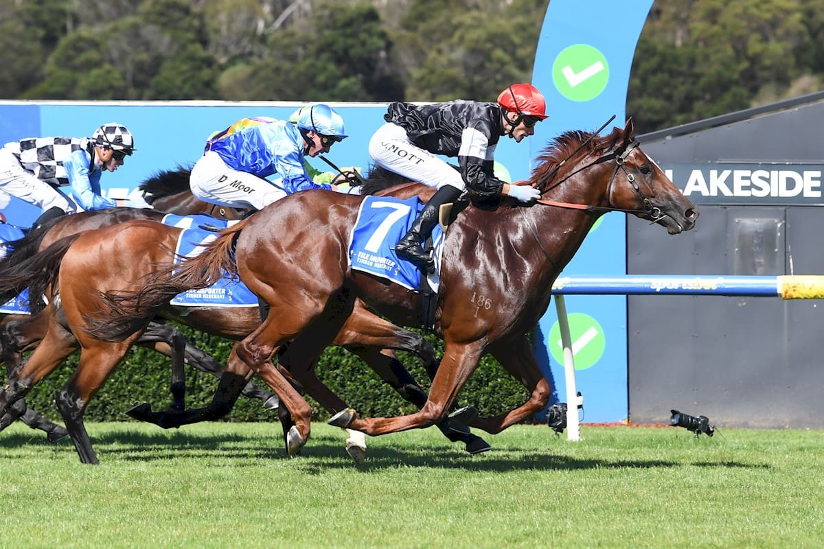 Royal Insignia returns a winner in Group 3 Manfred Stakes - BOAY Racing ...