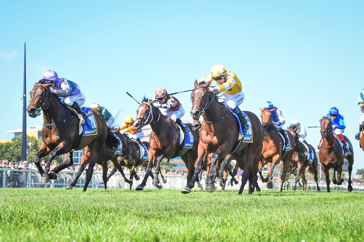 Blue Diamond Day 2025: Full race replays, results & dividends - BOAY ...