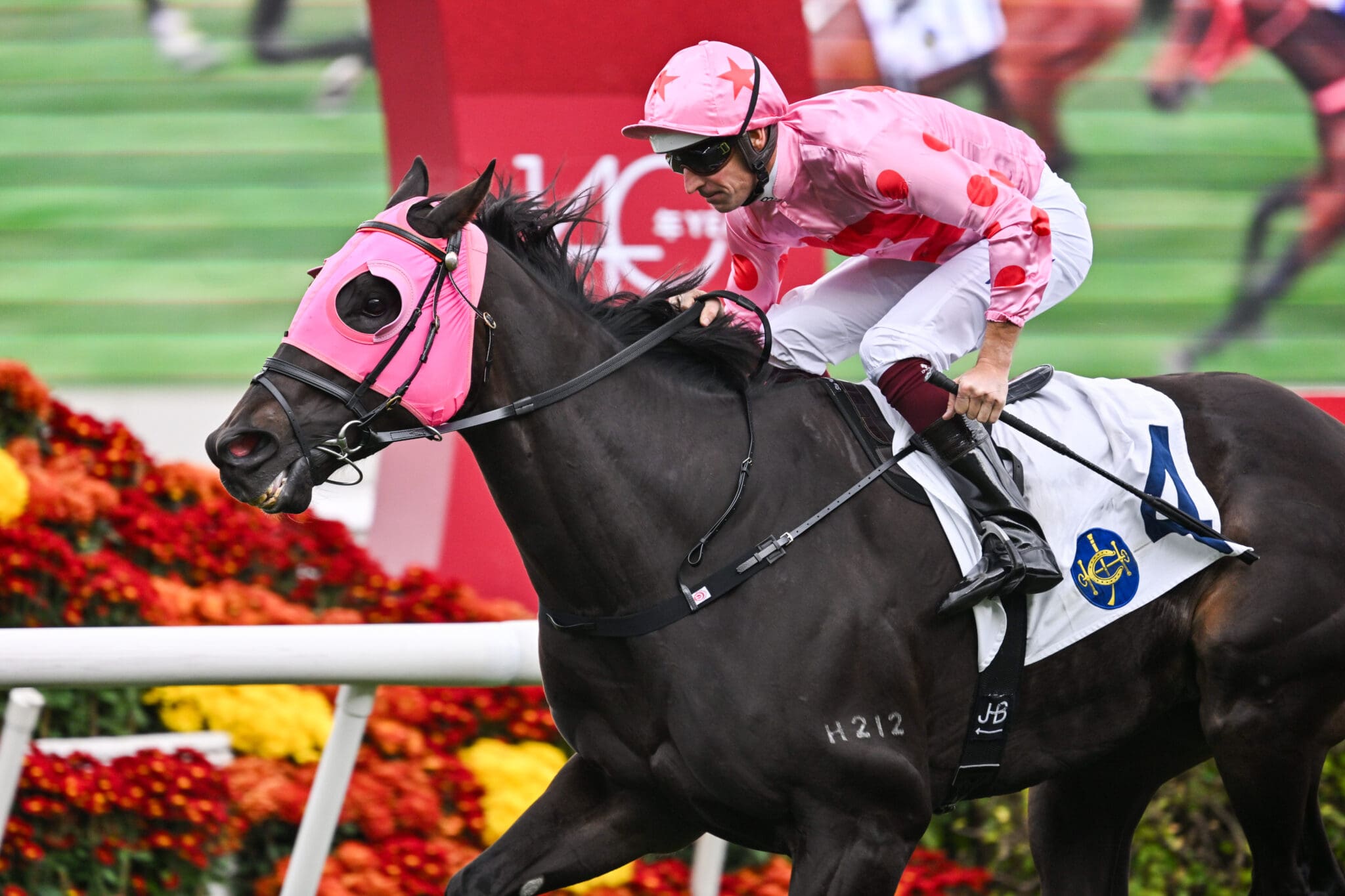 Chancheng Glory Surges To Group 3 Centenary Vase Success